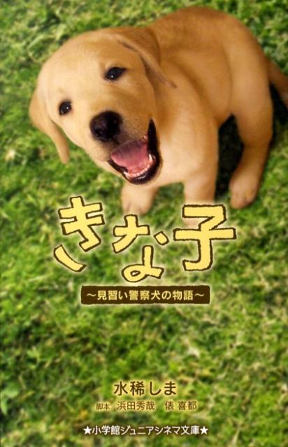 ◆◆◆おおむね良好な状態です。中古商品のため使用感等ある場合がございますが、品質には十分注意して発送いたします。 【毎日発送】 商品状態 著者名 水稀しま、浜田秀哉 出版社名 小学館 発売日 2010年7月6日 ISBN 978409230...