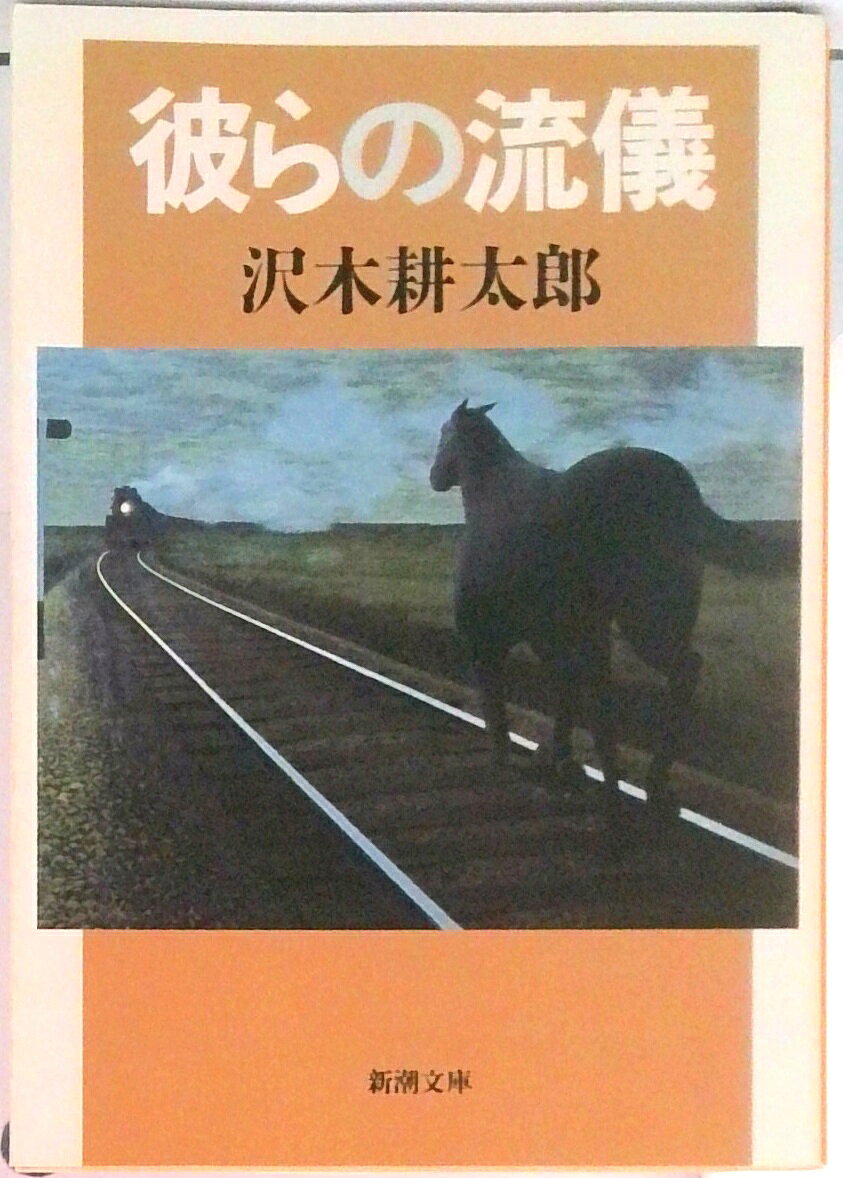 ◆◆◆おおむね良好な状態です。中古商品のため使用感等ある場合がございますが、品質には十分注意して発送いたします。 【毎日発送】 商品状態 著者名 沢木耕太郎 出版社名 新潮社 発売日 1996年4月1日 ISBN 9784101235127