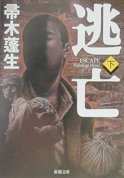 ◆◆◆おおむね良好な状態です。中古商品のため使用感等ある場合がございますが、品質には十分注意して発送いたします。 【毎日発送】 商品状態 著者名 帚木蓬生 出版社名 新潮社 発売日 2000年8月1日 ISBN 9784101288123