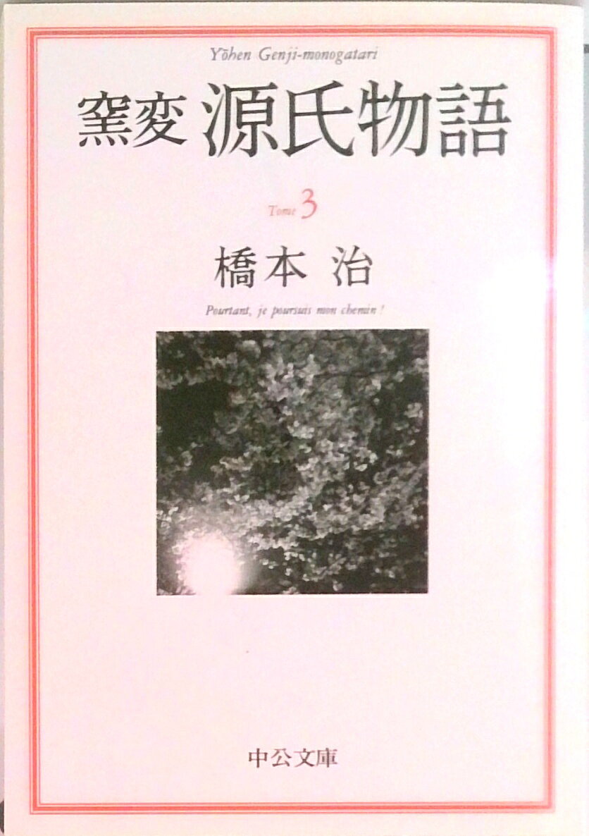 ◆◆◆非常にきれいな状態です。中古商品のため使用感等ある場合がございますが、品質には十分注意して発送いたします。 【毎日発送】 商品状態 著者名 橋本治 出版社名 中央公論新社 発売日 1995年12月18日 ISBN 9784122024984