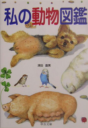 ◆◆◆非常にきれいな状態です。中古商品のため使用感等ある場合がございますが、品質には十分注意して発送いたします。 【毎日発送】 商品状態 著者名 津田直美 出版社名 中央公論新社 発売日 2005年5月25日 ISBN 9784122045255