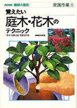 ◆◆◆おおむね良好な状態です。中古商品のため使用感等ある場合がございますが、品質には十分注意して発送いたします。 【毎日発送】 商品状態 著者名 日本放送出版協会 出版社名 NHK出版 発売日 1995年03月25日 ISBN 978414...