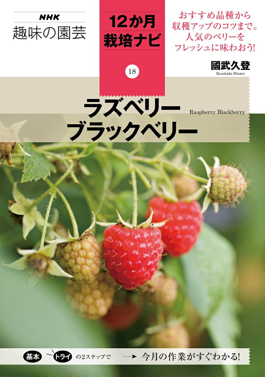 ◆◆◆おおむね良好な状態です。中古商品のため使用感等ある場合がございますが、品質には十分注意して発送いたします。 【毎日発送】 商品状態 著者名 國武久登 出版社名 NHK出版 発売日 2022年02月20日 ISBN 9784140402993