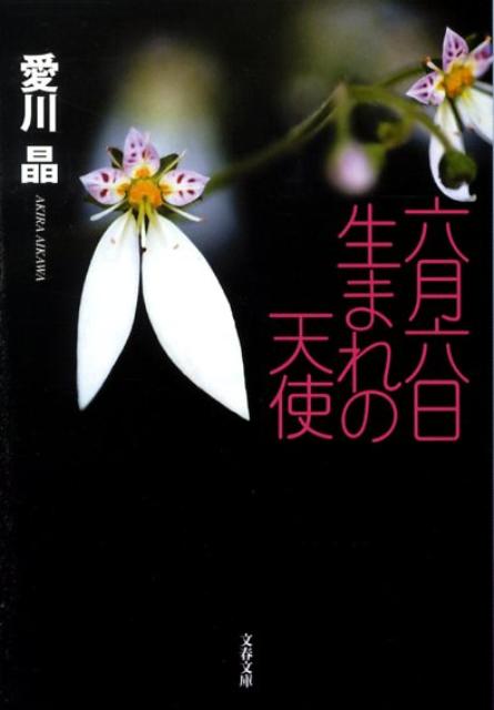◆◆◆非常にきれいな状態です。中古商品のため使用感等ある場合がございますが、品質には十分注意して発送いたします。 【毎日発送】 商品状態 著者名 愛川晶 出版社名 文藝春秋 発売日 2008年5月10日 ISBN 9784167717780