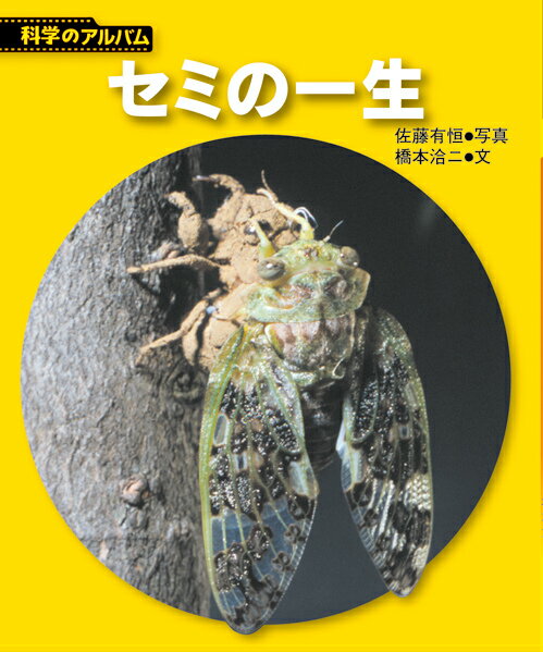 ◆◆◆小口に日焼けがあります。中古ですので多少の使用感がありますが、品質には十分に注意して販売しております。迅速・丁寧な発送を心がけております。【毎日発送】 商品状態 著者名 佐藤有恒、橋本洽二 出版社名 あかね書房 発売日 2005年04...