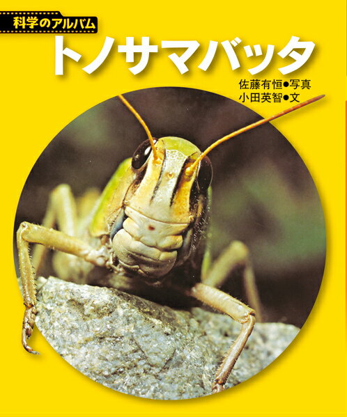 ◆◆◆表紙に日焼けがあります。中古ですので多少の使用感がありますが、品質には十分に注意して販売しております。迅速・丁寧な発送を心がけております。【毎日発送】 商品状態 著者名 佐藤有恒、小田英智 出版社名 あかね書房 発売日 2005年04...