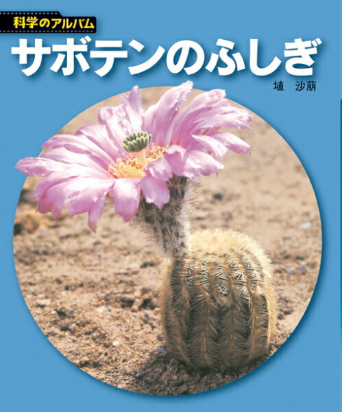 ◆◆◆箱に日焼け、汚れがあります。デザインが異なります。中古ですので多少の使用感がありますが、品質には十分に注意して販売しております。迅速・丁寧な発送を心がけております。【毎日発送】 商品状態 著者名 埴沙萠 出版社名 あかね書房 発売日 ...