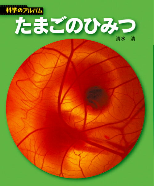 ◆◆◆角折れがあります。カバーがありません。全体的に汚れがあります。中古ですので多少の使用感がありますが、品質には十分に注意して販売しております。迅速・丁寧な発送を心がけております。【毎日発送】 商品状態 著者名 清水清 出版社名 あかね書...