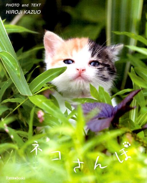 ◆◆◆おおむね良好な状態です。中古商品のため使用感等ある場合がございますが、品質には十分注意して発送いたします。 【毎日発送】 商品状態 著者名 広路和夫 出版社名 いのちのことば社 発売日 2014年02月 ISBN 9784264031307