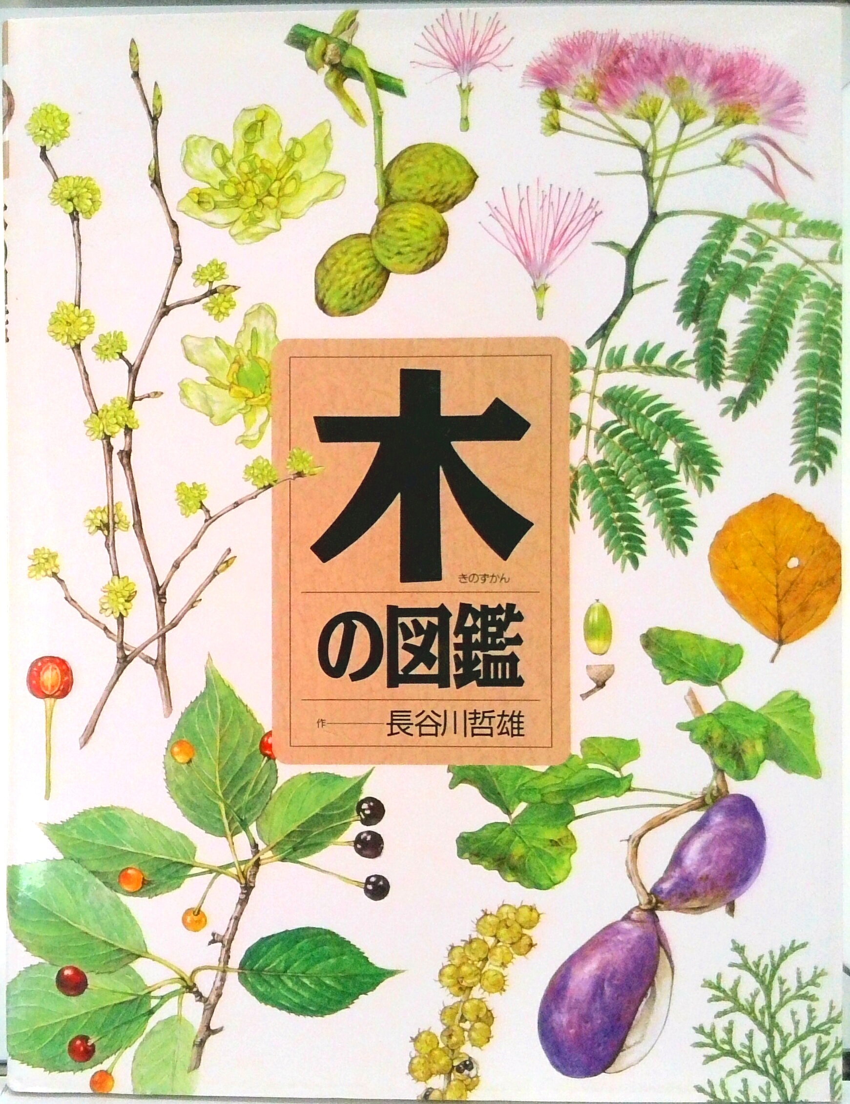 ◆◆◆非常にきれいな状態です。中古商品のため使用感等ある場合がございますが、品質には十分注意して発送いたします。 【毎日発送】 商品状態 著者名 長谷川哲雄 出版社名 岩崎書店 発売日 1999年08月 ISBN 9784265029204