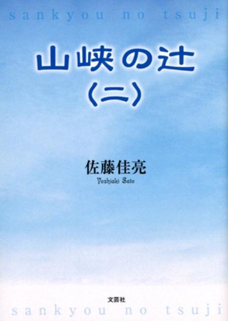 ◆◆◆カバーに使用感があります。角折れがあります。中古ですので多少の使用感がありますが、品質には十分に注意して販売しております。迅速・丁寧な発送を心がけております。【毎日発送】 商品状態 著者名 佐藤佳亮 出版社名 文芸社 発売日 2018...
