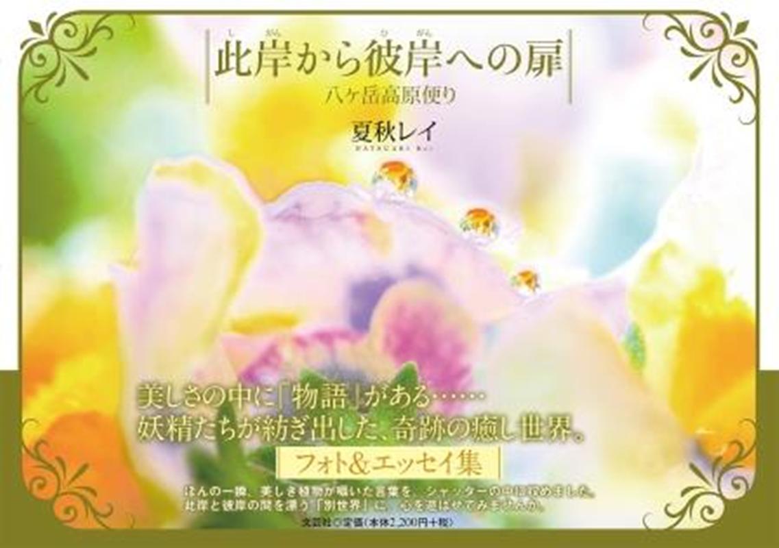 ◆◆◆おおむね良好な状態です。中古商品のため使用感等ある場合がございますが、品質には十分注意して発送いたします。 【毎日発送】 商品状態 著者名 夏秋レイ 出版社名 文芸社 発売日 2021年03月15日 ISBN 9784286224541