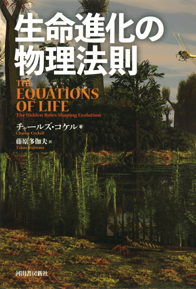 ◆◆◆全体的に汚れがあります。中古ですので多少の使用感がありますが、品質には十分に注意して販売しております。迅速・丁寧な発送を心がけております。【毎日発送】 商品状態 著者名 チャールズ・コケル、藤原多伽夫 出版社名 河出書房新社 発売日 ...