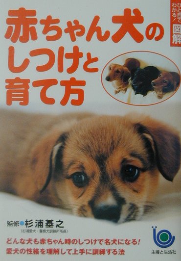 ◆◆◆おおむね良好な状態です。中古商品のため使用感等ある場合がございますが、品質には十分注意して発送いたします。 【毎日発送】 商品状態 著者名 主婦と生活社、杉浦基之 出版社名 主婦と生活社 発売日 2001年05月 ISBN 97843...