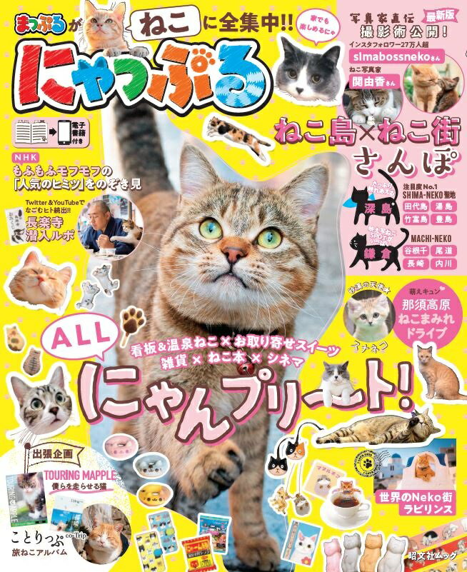 ◆◆◆おおむね良好な状態です。中古商品のため使用感等ある場合がございますが、品質には十分注意して発送いたします。 【毎日発送】 商品状態 著者名 編集:昭文社 旅行ガイドブック 編集部 出版社名 昭文社 発売日 2021年1月29日 ISB...