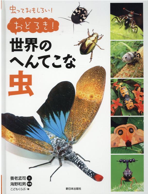 ◆◆◆おおむね良好な状態です。中古商品のため使用感等ある場合がございますが、品質には十分注意して発送いたします。 【毎日発送】 商品状態 著者名 養老孟司、海野和男 出版社名 新日本出版社 発売日 2020年12月30日 ISBN 9784...
