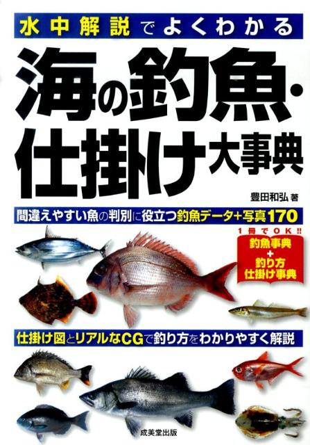◆◆◆非常にきれいな状態です。中古商品のため使用感等ある場合がございますが、品質には十分注意して発送いたします。 【毎日発送】 商品状態 著者名 豊田和弘 出版社名 成美堂出版 発売日 2010年10月 ISBN 9784415308333
