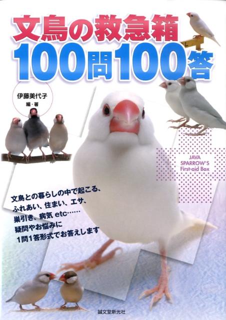 ◆◆◆カバー、小口に汚れがあります。書き込みがあります。中古ですので多少の使用感がありますが、品質には十分に注意して販売しております。迅速・丁寧な発送を心がけております。【毎日発送】 商品状態 著者名 伊藤美代子 出版社名 誠文堂新光社 発...