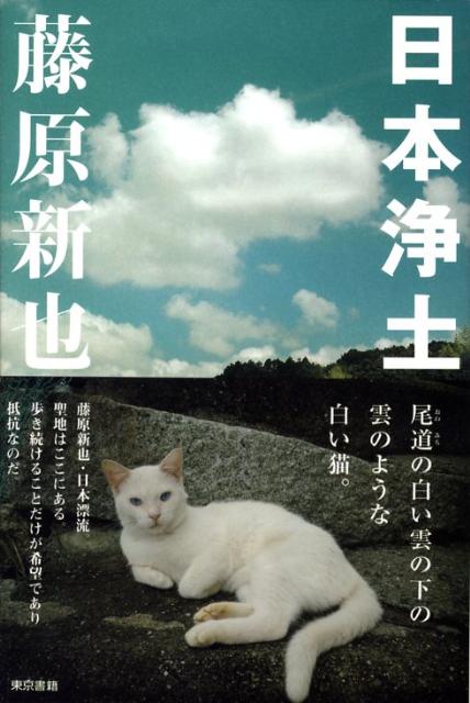 ◆◆◆おおむね良好な状態です。中古商品のため使用感等ある場合がございますが、品質には十分注意して発送いたします。 【毎日発送】 商品状態 著者名 藤原新也 出版社名 東京書籍 発売日 2008年08月 ISBN 9784487802142