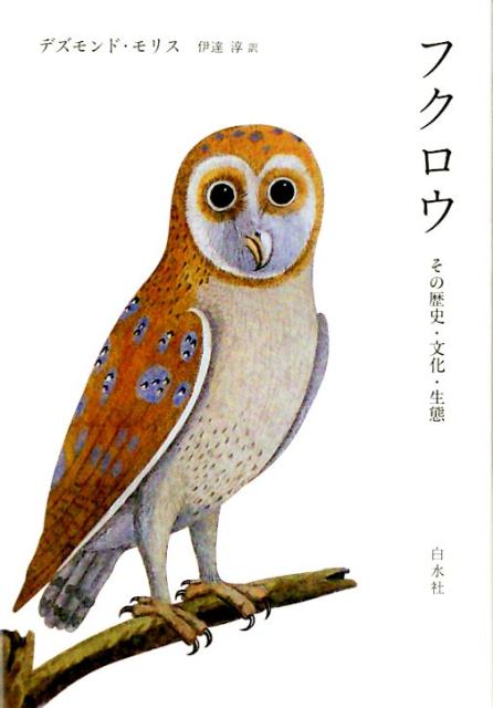 ◆◆◆カバーに汚れがあります。中古ですので多少の使用感がありますが、品質には十分に注意して販売しております。迅速・丁寧な発送を心がけております。【毎日発送】 商品状態 著者名 デズモンド・モリス、伊達淳 出版社名 白水社 発売日 2019年...