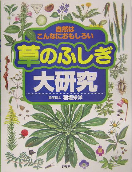 ◆◆◆全体的に使用感があります。カバーに汚れ、傷みがあります。中古ですので多少の使用感がありますが、品質には十分に注意して販売しております。迅速・丁寧な発送を心がけております。【毎日発送】 商品状態 著者名 稲垣栄洋 出版社名 PHP研究所...