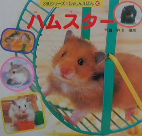 ◆◆◆全体的に使用感があります。中古ですので多少の使用感がありますが、品質には十分に注意して販売しております。迅速・丁寧な発送を心がけております。【毎日発送】 商品状態 著者名 井川俊彦 出版社名 ポプラ社 発売日 2001年07月 ISB...