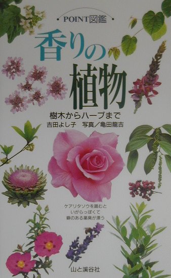 ◆◆◆印押しがあります。全体的に汚れ、日焼け、傷みがあります。中古ですので多少の使用感がありますが、品質には十分に注意して販売しております。迅速・丁寧な発送を心がけております。【毎日発送】 商品状態 著者名 吉田よし子、亀田竜吉 出版社名 ...