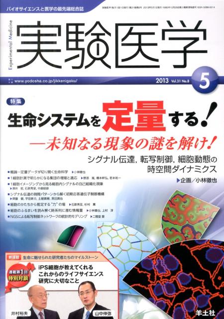 ◆◆◆非常にきれいな状態です。中古商品のため使用感等ある場合がございますが、品質には十分注意して発送いたします。 【毎日発送】 商品状態 著者名 編集:小林 徹也 出版社名 羊土社 発売日 2013年4月19日 ISBN 978475810...