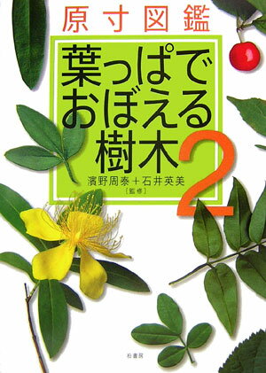 ◆◆◆カバーに汚れがあります。歪みがあります。中古ですので多少の使用感がありますが、品質には十分に注意して販売しております。迅速・丁寧な発送を心がけております。【毎日発送】 商品状態 著者名 濱野周泰、石井英美 出版社名 柏書房 発売日 2...