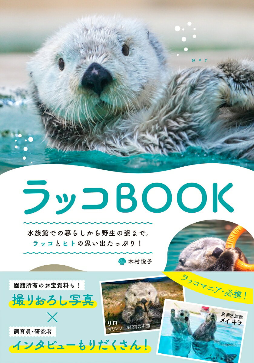 ◆◆◆非常にきれいな状態です。中古商品のため使用感等ある場合がございますが、品質には十分注意して発送いたします。 【毎日発送】 商品状態 著者名 木村悦子（フリーライター） 出版社名 グラフィック社 発売日 2024年07月25日 ISBN...