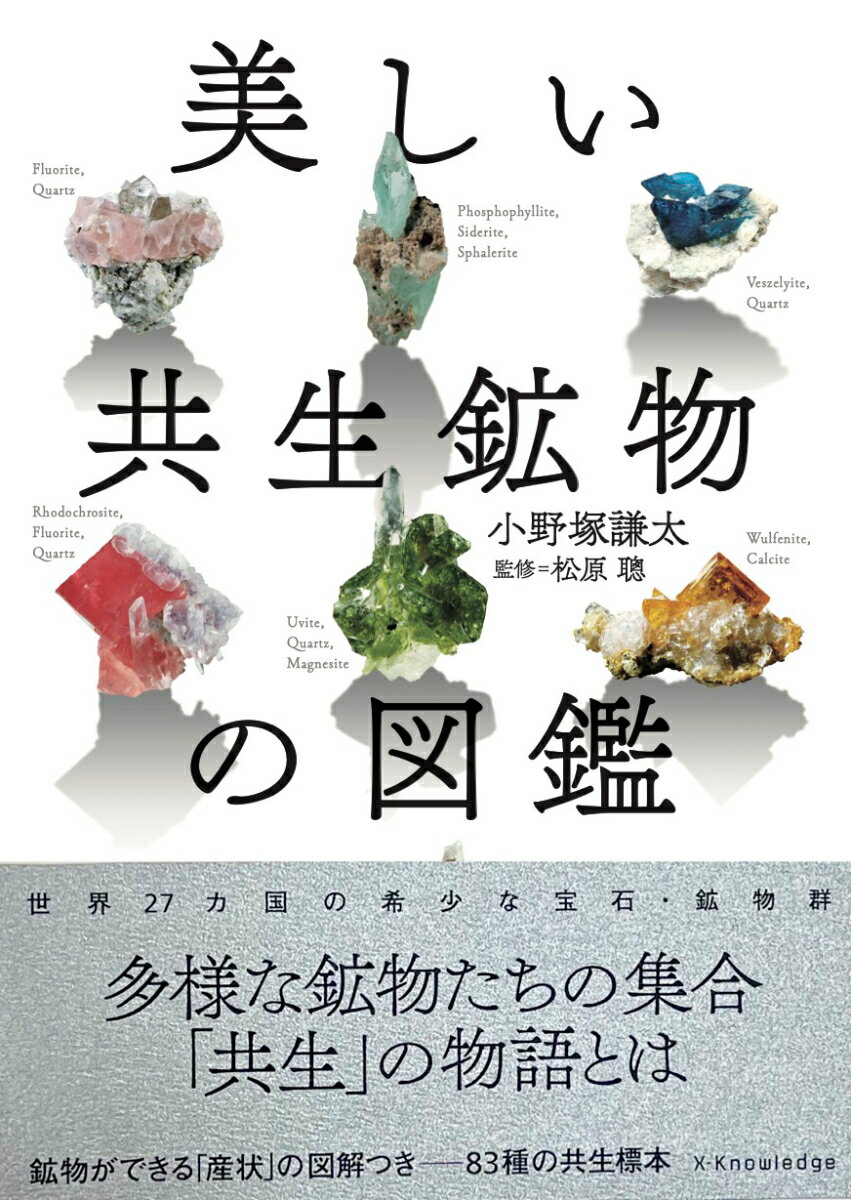 ◆◆◆非常にきれいな状態です。中古商品のため使用感等ある場合がございますが、品質には十分注意して発送いたします。 【毎日発送】 商品状態 著者名 小野塚謙太、松原聰 出版社名 エクスナレッジ 発売日 2025年01月07日 ISBN 978...