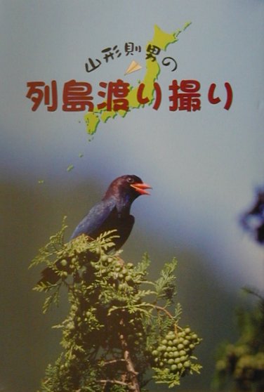 ◆◆◆おおむね良好な状態です。中古商品のため使用感等ある場合がございますが、品質には十分注意して発送いたします。 【毎日発送】 商品状態 著者名 山形則男 出版社名 文一総合出版 発売日 2001年06月 ISBN 9784829921531