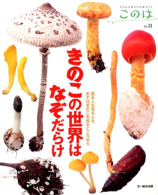 ◆◆◆おおむね良好な状態です。中古商品のため使用感等ある場合がございますが、品質には十分注意して発送いたします。 【毎日発送】 商品状態 著者名 このは編集部 出版社名 文一総合出版 発売日 2015年10月 ISBN 9784829973905