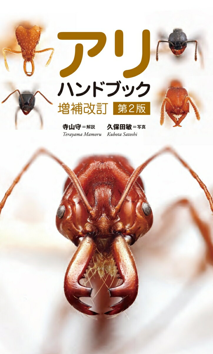 ◆◆◆非常にきれいな状態です。中古商品のため使用感等ある場合がございますが、品質には十分注意して発送いたします。 【毎日発送】 商品状態 著者名 寺山守、久保田敏 出版社名 文一総合出版 発売日 2024年03月03日 ISBN 97848...