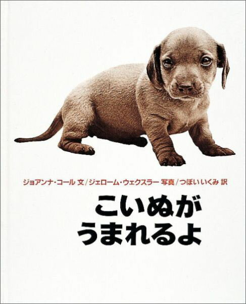 ◆◆◆おおむね良好な状態です。中古商品のため使用感等ある場合がございますが、品質には十分注意して発送いたします。 【毎日発送】 商品状態 著者名 ジョアンナ・コ−ル、ジェロ−ム・ウェクスラ− 出版社名 福音館書店 発売日 1982年11月 ...