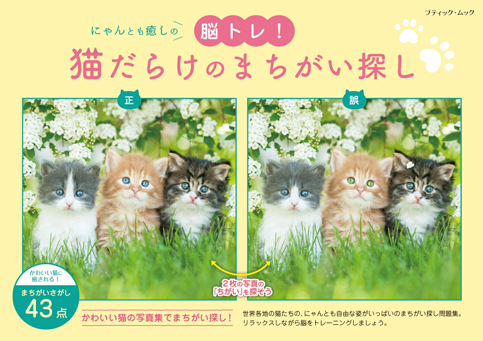 ◆◆◆歪み、書き込み、角折れがあります。全体的に日焼け、汚れ、傷みがあります。中古ですので多少の使用感がありますが、品質には十分に注意して販売しております。迅速・丁寧な発送を心がけております。【毎日発送】 商品状態 著者名 出版社名 ブティ...