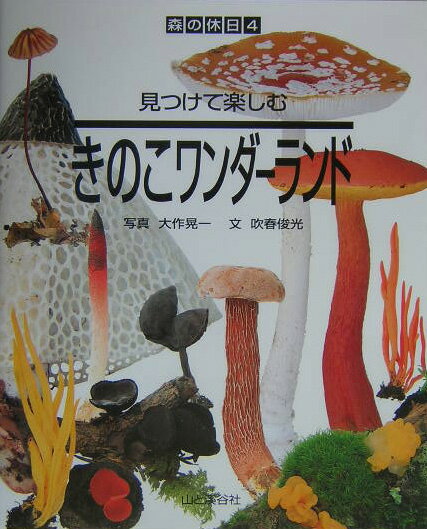 ◆◆◆おおむね良好な状態です。中古商品のため使用感等ある場合がございますが、品質には十分注意して発送いたします。 【毎日発送】 商品状態 著者名 大作晃一、吹春俊光 出版社名 山と渓谷社 発売日 2004年09月 ISBN 97846350...