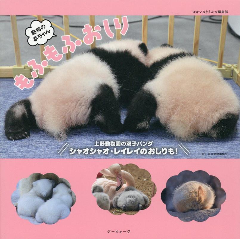 ◆◆◆全体的に使用感があります。小口に傷みがあります。中古ですので多少の使用感がありますが、品質には十分に注意して販売しております。迅速・丁寧な発送を心がけております。【毎日発送】 商品状態 著者名 編集:ゆかいな動物編集部 出版社名 ジ−...