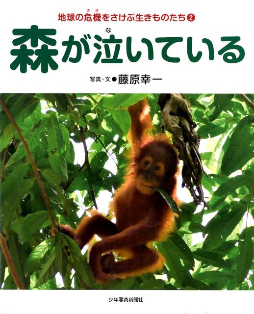 ◆◆◆非常にきれいな状態です。中古商品のため使用感等ある場合がございますが、品質には十分注意して発送いたします。 【毎日発送】 商品状態 著者名 藤原幸一 出版社名 少年写真新聞社 発売日 2018年01月31日 ISBN 97848798...