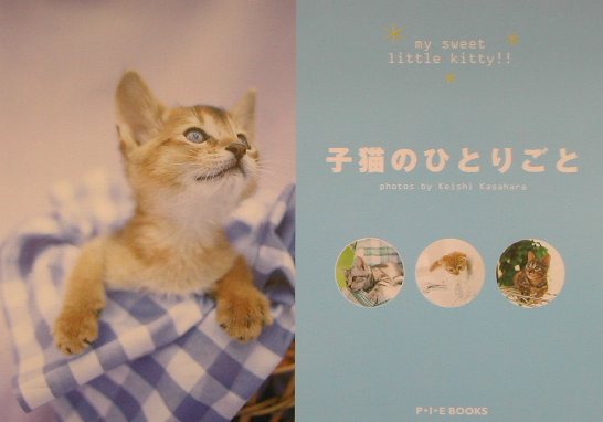 ◆◆◆非常にきれいな状態です。中古商品のため使用感等ある場合がございますが、品質には十分注意して発送いたします。 【毎日発送】 商品状態 著者名 笠原啓史 出版社名 ピエ・ブックス 発売日 2001年11月 ISBN 9784894441798