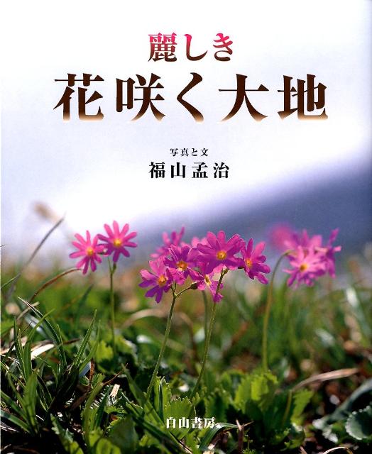 ◆◆◆おおむね良好な状態です。中古商品のため使用感等ある場合がございますが、品質には十分注意して発送いたします。 【毎日発送】 商品状態 著者名 福山孟治 出版社名 白山書房 発売日 2012年04月 ISBN 9784894751521