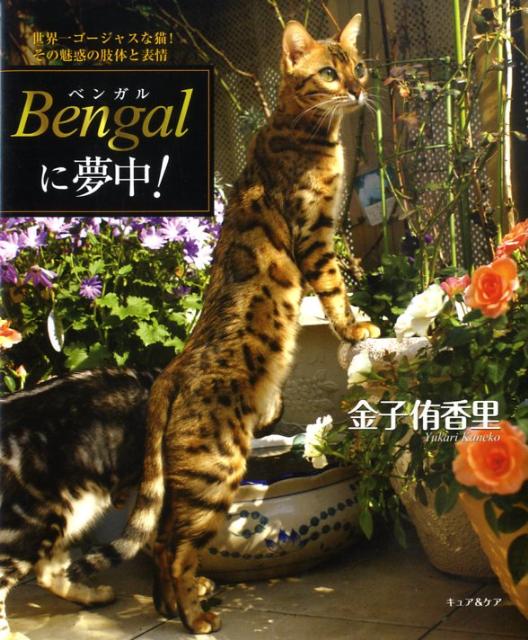 ◆◆◆おおむね良好な状態です。中古商品のため使用感等ある場合がございますが、品質には十分注意して発送いたします。 【毎日発送】 商品状態 著者名 金子侑香里 出版社名 キュアアンドケア 発売日 2009年06月 ISBN 978489610...