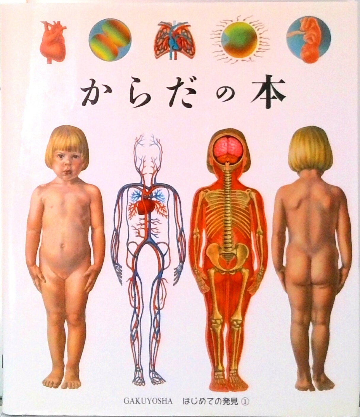 ◆◆◆全体的に使用感、汚れ、日焼けがあります。カバーがありません。中古ですので多少の使用感がありますが、品質には十分に注意して販売しております。迅速・丁寧な発送を心がけております。【毎日発送】 商品状態 著者名 シルヴェーヌ・ペロル、ガリマ...