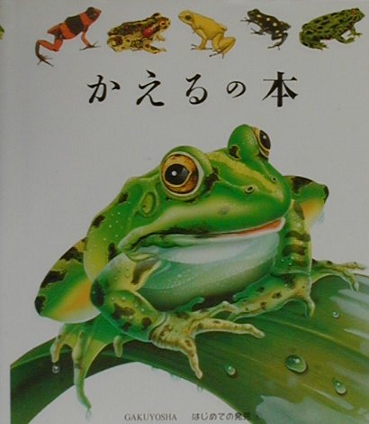 ◆◆◆全体的に汚れ、日焼けがあります。カバーがありません。中古ですので多少の使用感がありますが、品質には十分に注意して販売しております。迅速・丁寧な発送を心がけております。【毎日発送】 商品状態 著者名 ダニエル・モアノ、ガリマ−ル・ジュネ...