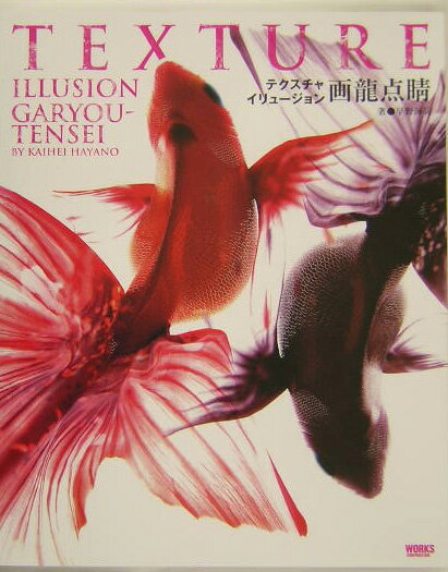 ◆◆◆非常にきれいな状態です。中古商品のため使用感等ある場合がございますが、品質には十分注意して発送いたします。 【毎日発送】 商品状態 著者名 早野海兵 出版社名 ボ−ンデジタル 発売日 2003年12月 ISBN 9784948759503