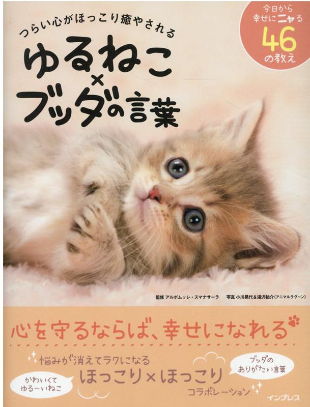 ◆◆◆非常にきれいな状態です。中古商品のため使用感等ある場合がございますが、品質には十分注意して発送いたします。 【毎日発送】 商品状態 著者名 アルボムッレ・スマナサーラ、小川晃代 出版社名 インプレス 発売日 2021年2月21日 IS...
