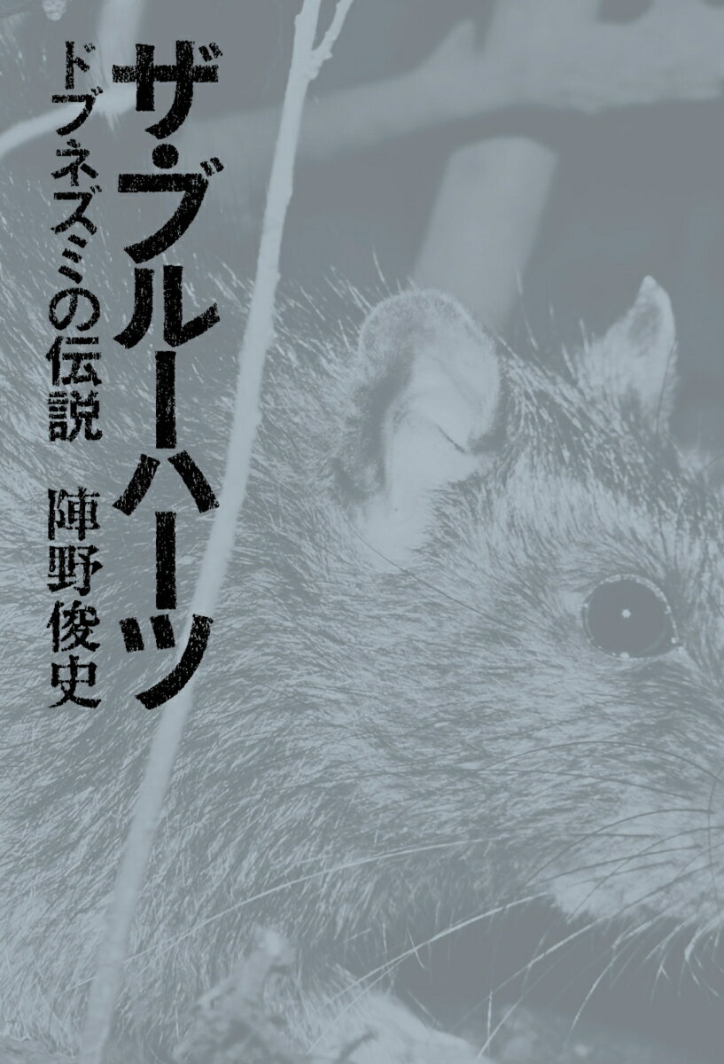 ◆◆◆非常にきれいな状態です。中古商品のため使用感等ある場合がございますが、品質には十分注意して発送いたします。 【毎日発送】 商品状態 著者名 陣野俊史 出版社名 河出書房新社 発売日 2020年10月30日 ISBN 978430929...