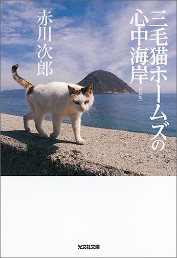 ◆◆◆非常にきれいな状態です。中古商品のため使用感等ある場合がございますが、品質には十分注意して発送いたします。 【毎日発送】 商品状態 著者名 赤川次郎 出版社名 光文社 発売日 2017年1月20日 ISBN 9784334774127