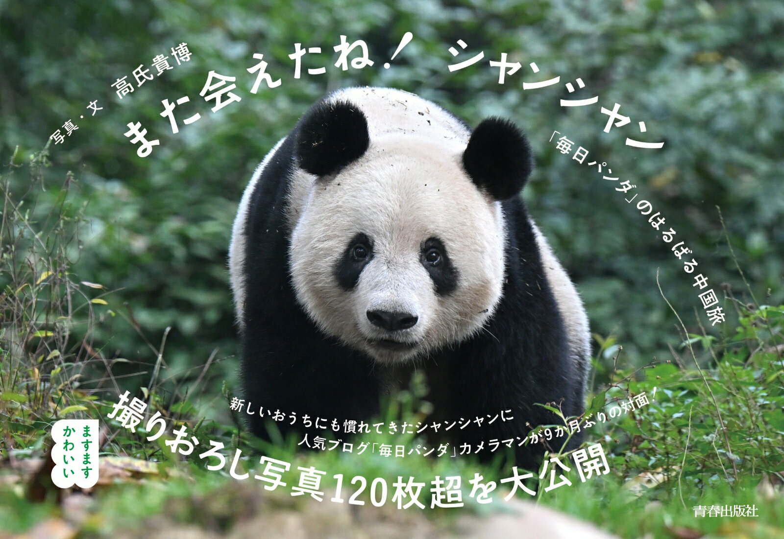 ◆◆◆非常にきれいな状態です。中古商品のため使用感等ある場合がございますが、品質には十分注意して発送いたします。 【毎日発送】 商品状態 著者名 高氏貴博 出版社名 青春出版社 発売日 2024年06月12日 ISBN 9784413114059