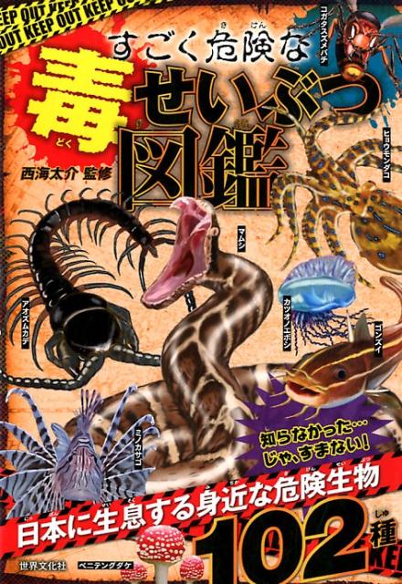 ◆◆◆非常にきれいな状態です。中古商品のため使用感等ある場合がございますが、品質には十分注意して発送いたします。 【毎日発送】 商品状態 著者名 西海太介 出版社名 世界文化社 発売日 2017年12月20日 ISBN 9784418172610